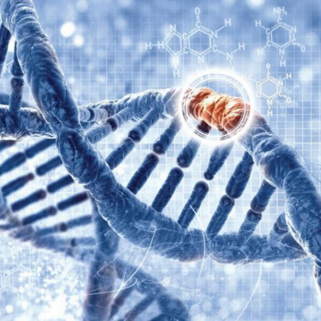 Entrogen REAL-TIME PCR KITS FOR MELANOMA - DSS Image