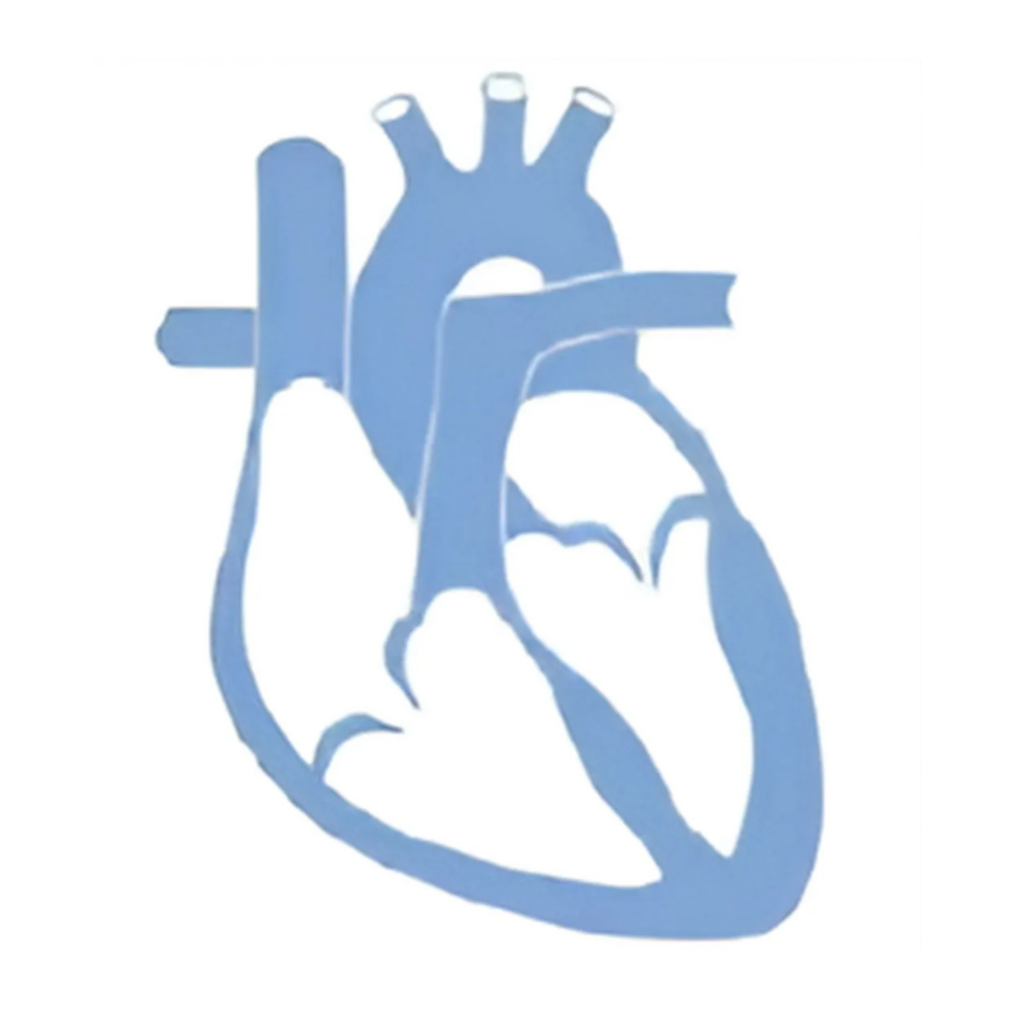 MRC Holland | Advanced Molecular Diagnostic Tools